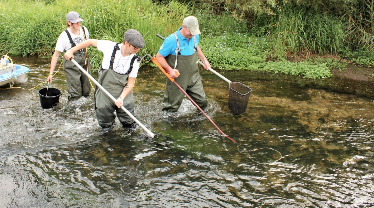 GWCT - The UK charity undertaking vital fish research – Orvis UK