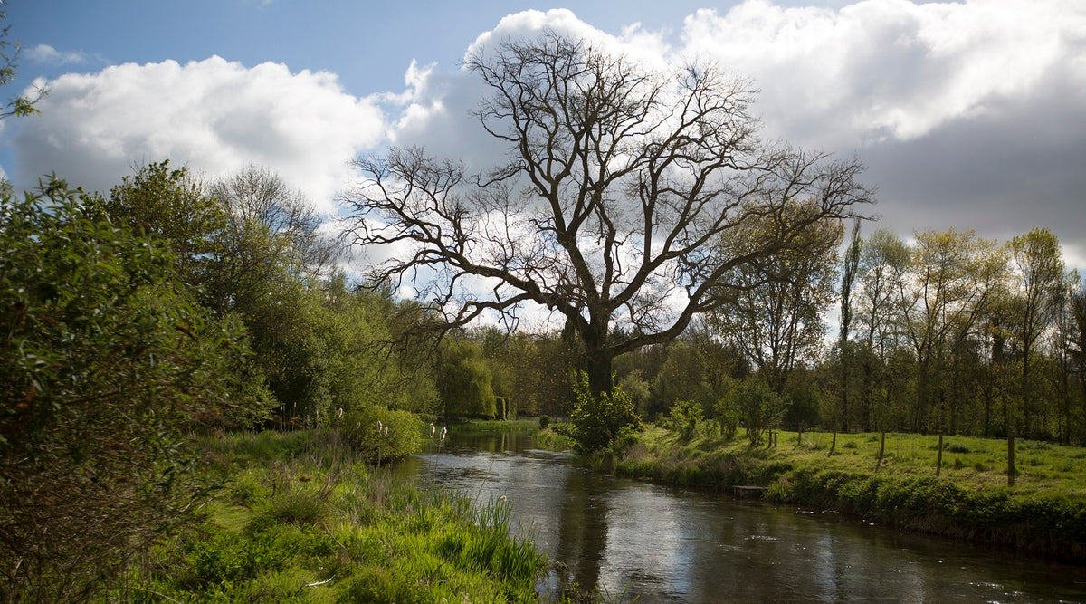 Orvis Uk | The Ultimate Guide To Fly Fishing In Hampshire – Orvis UK