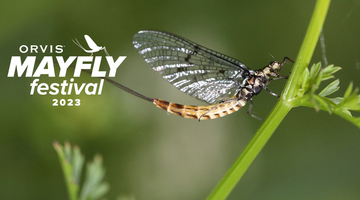 Introducing the Orvis Mayfly Festival 2023 – Orvis UK