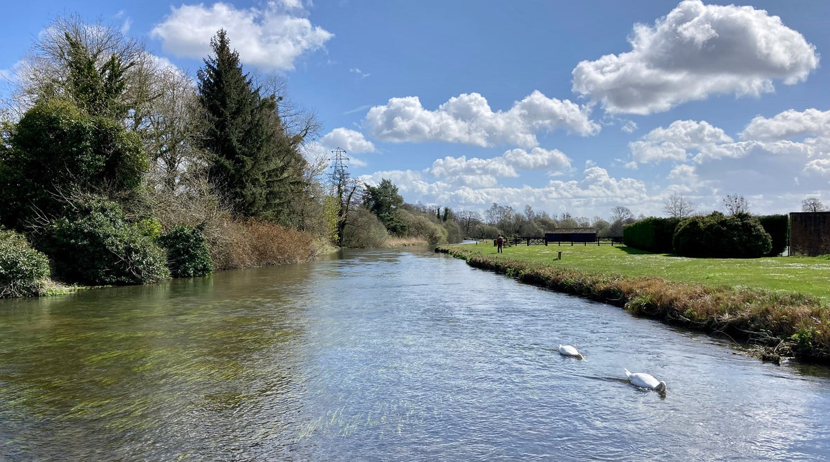 CaBA’s Chalk Stream Restoration Implementation Plan Published – Orvis UK