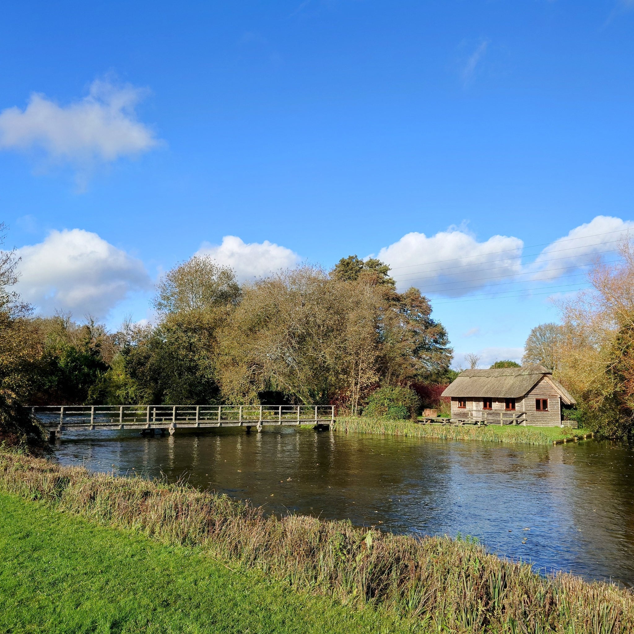 Kimbridge 'Ginger Beer' Beat Booking - Trout Season – Orvis UK