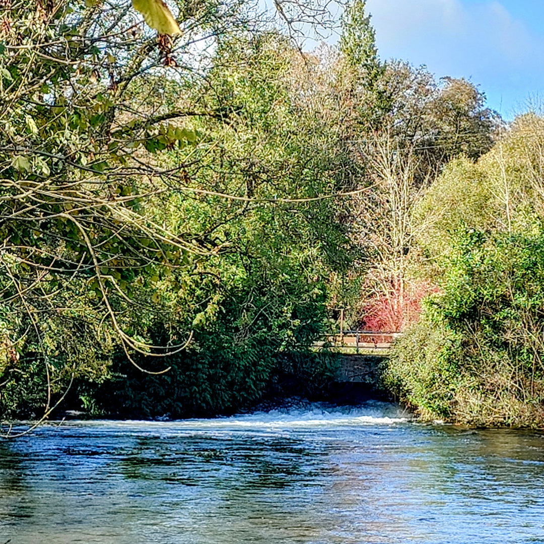 Kimbridge 'Ginger Beer' Beat Booking - Trout Season – Orvis UK