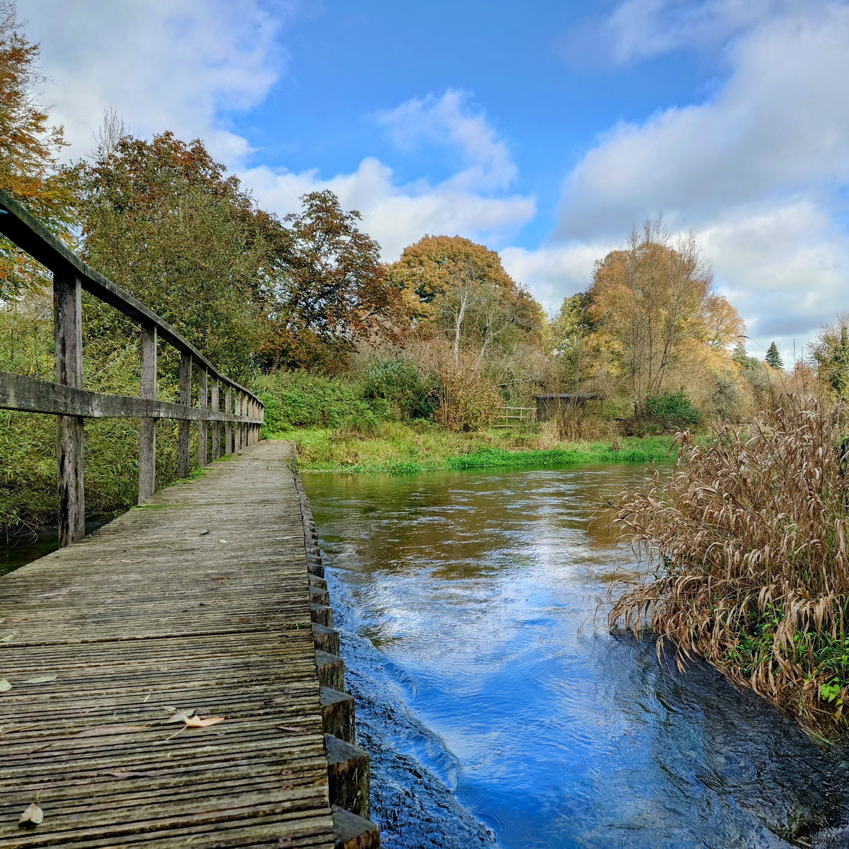 Chalkstream Mayfly Experience | River Itchen | Hampshire – Orvis UK