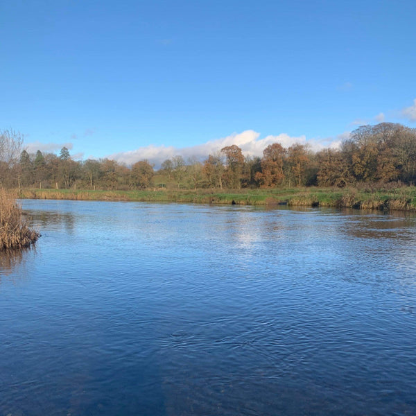 River Techniques for Wild Brown Trout, Upper River Annan – Orvis UK
