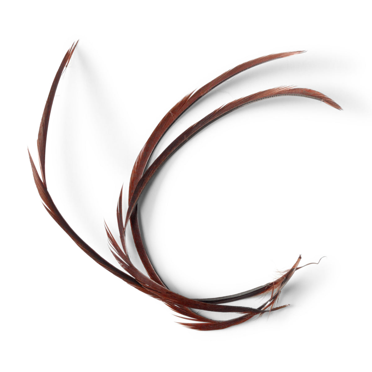 Goose Biots | Fly Fishing Gear | Premium Stiff Fibers – Orvis UK