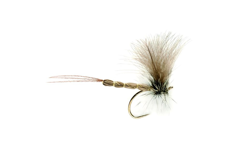 Mayfly CdC | Fishing Flies | Fly Fishing Accessories – Orvis UK