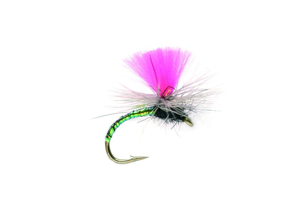 Greased Lightning Pink | Fly Fishing Flies | Fly Fishing Gear – Orvis UK