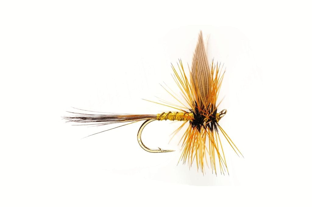 Greenwell's Glory | Fly Fishing Flies | Orvis Uk – Orvis UK