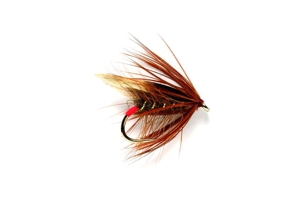 Red Arsed Peter | Fishing Flies | Orvis UK