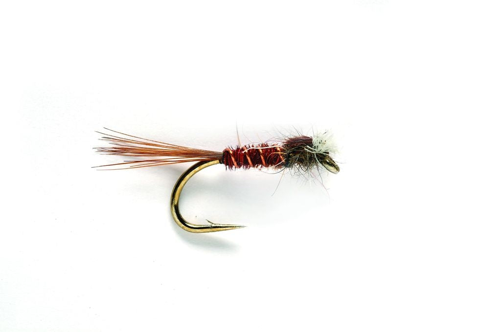 Muskin's Rust | Nymph Flies | Fly Fishing Gear – Orvis UK