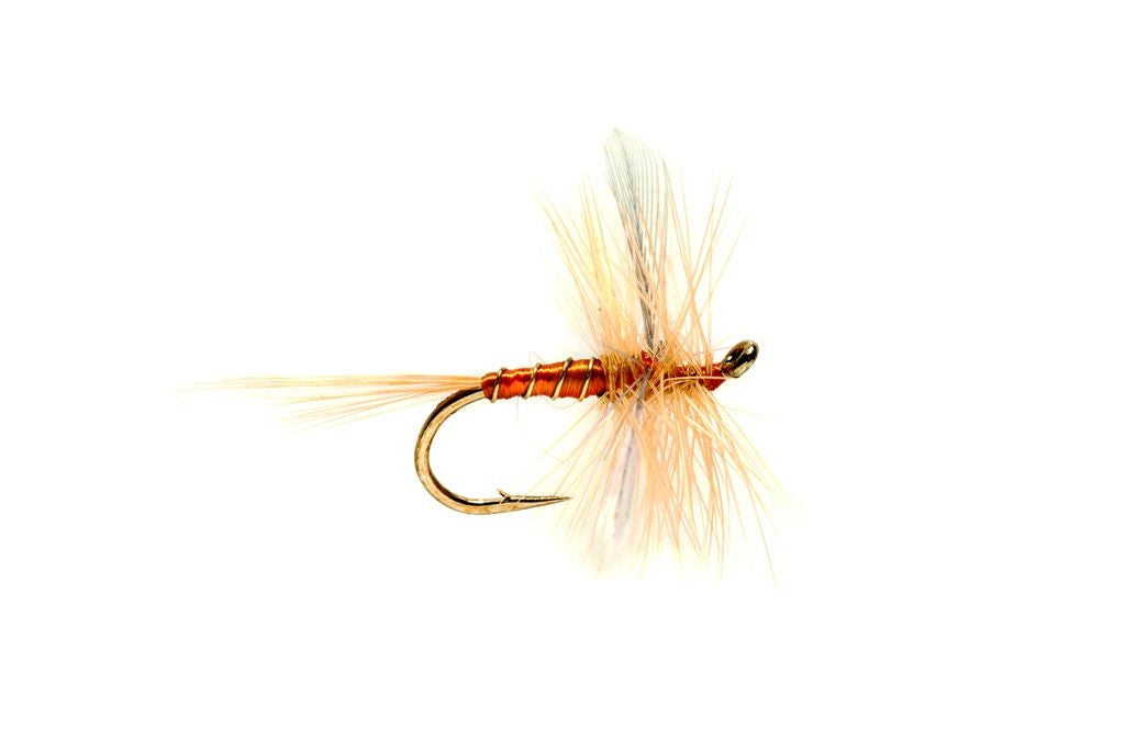 Sherry Spinner | Fishing Flies | Fly Fishing Gear – Orvis UK