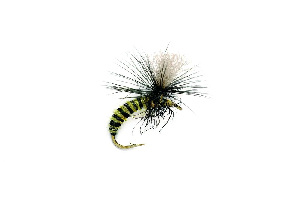 Grannom Pupa Para | Fishing Flies | Fly Fishing Equipment – Orvis UK