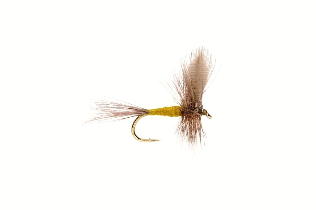Blue Winged Olive | Fly Fishing Flies | Orvis Uk – Orvis UK